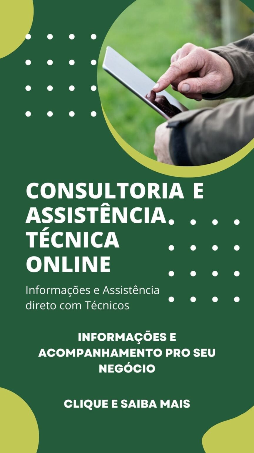 Características Agronômicas do Tifton 85 | Viver Grass Forragens