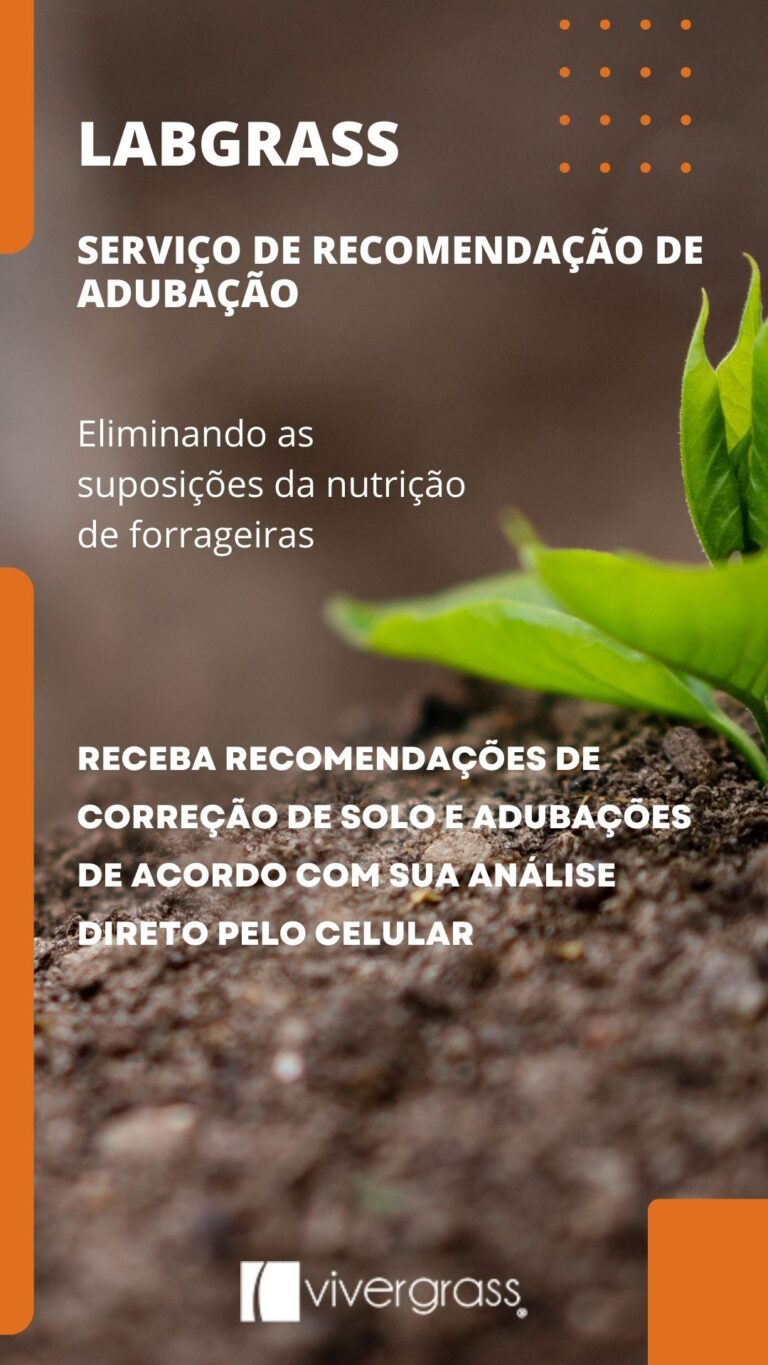 Capim Tifton 85 | Viver Grass Forragens